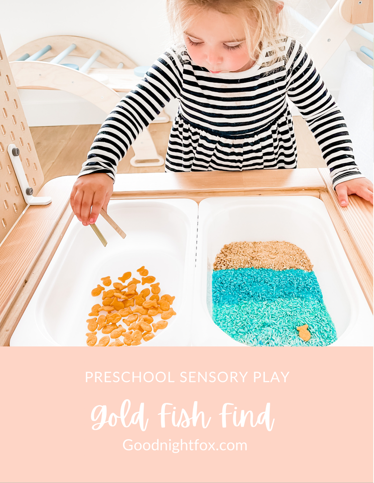 Goodnight Fox - Gone Fishing Sensory Bin