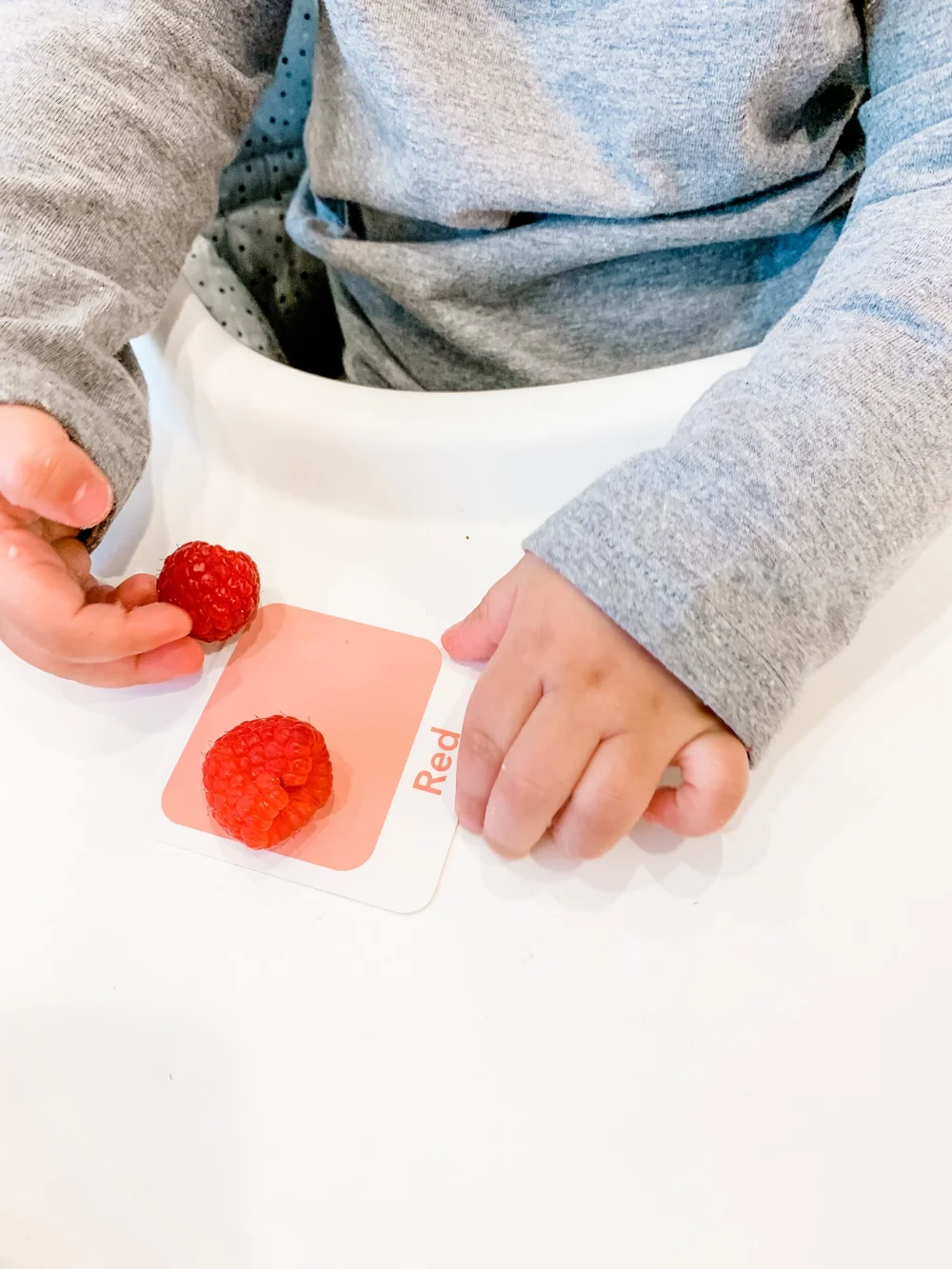 Goodnight Fox - Fruit, Veggies, & color practice