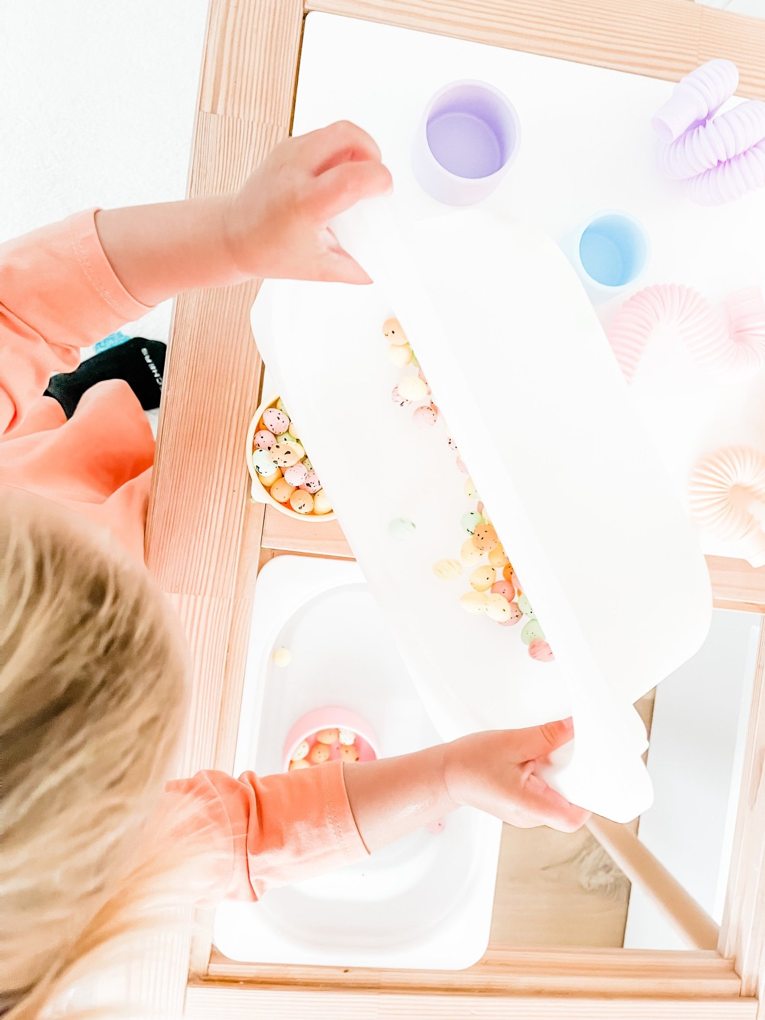 Goodnight Fox - Easter Egg Color SortIng