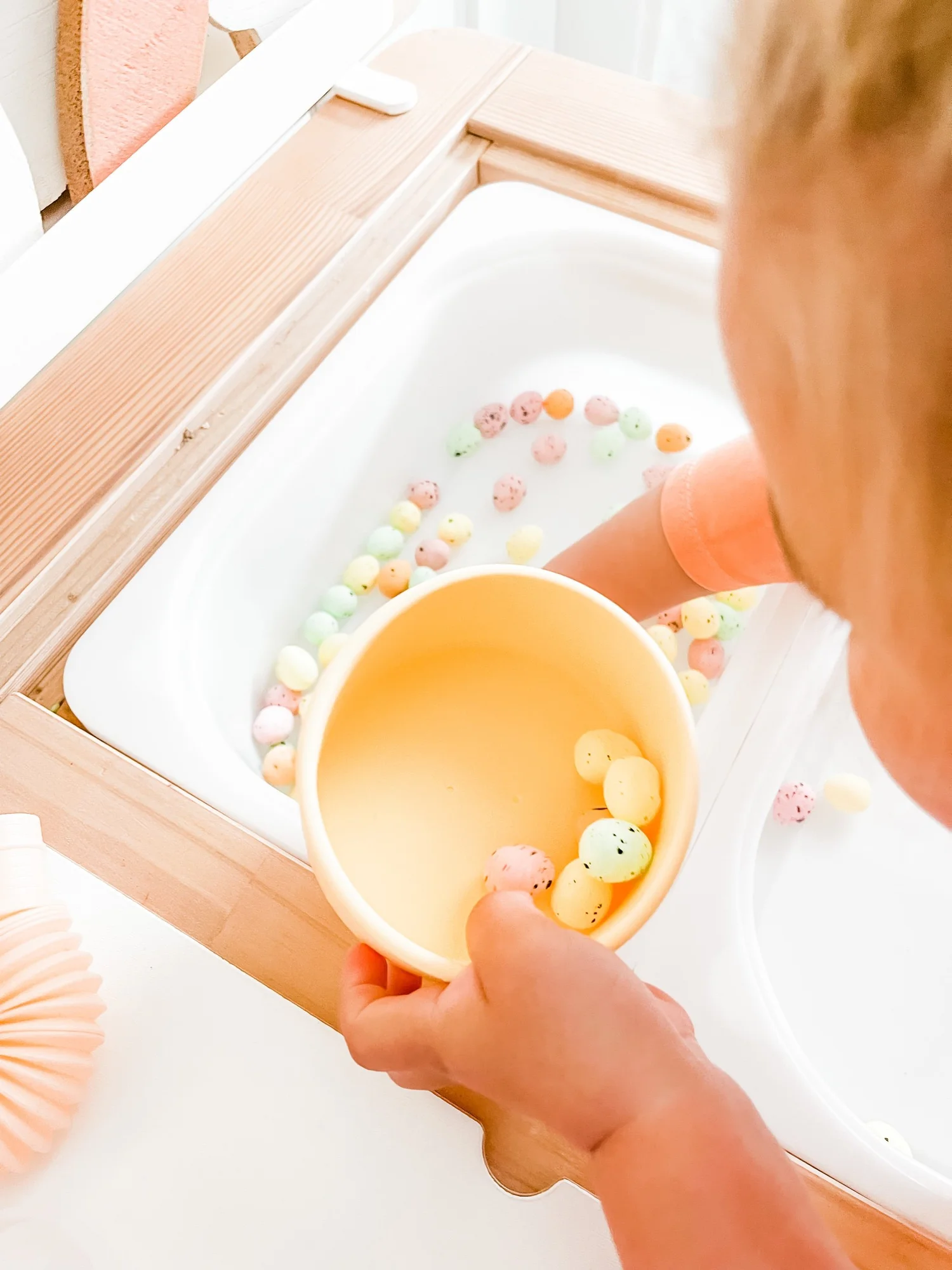 Goodnight Fox - Easter Egg Color SortIng