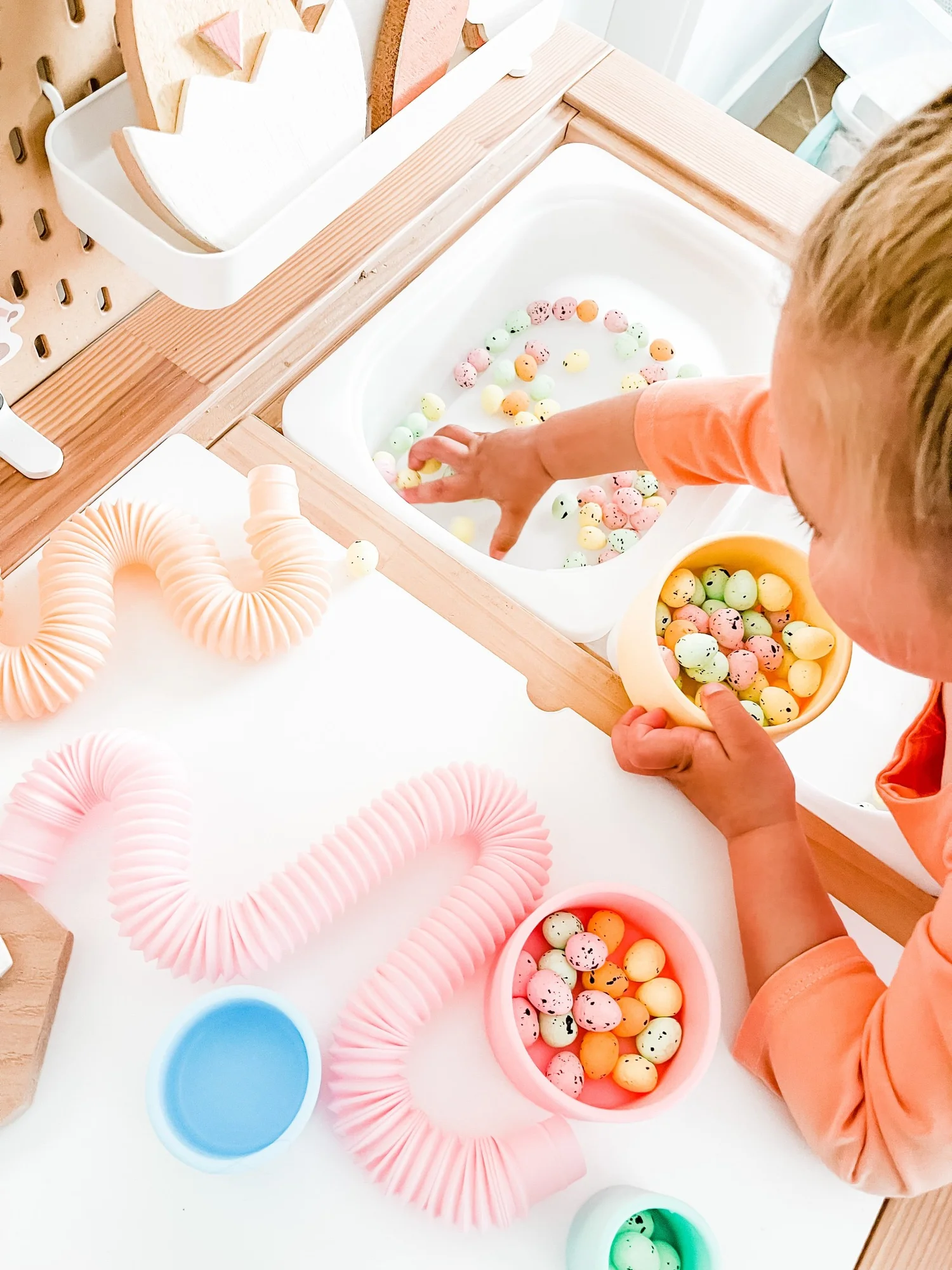 Goodnight Fox - Easter Egg Color SortIng