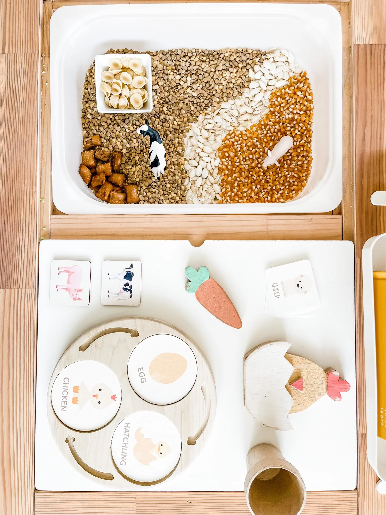 Goodnight Fox - Farm Animal Sensory Bin