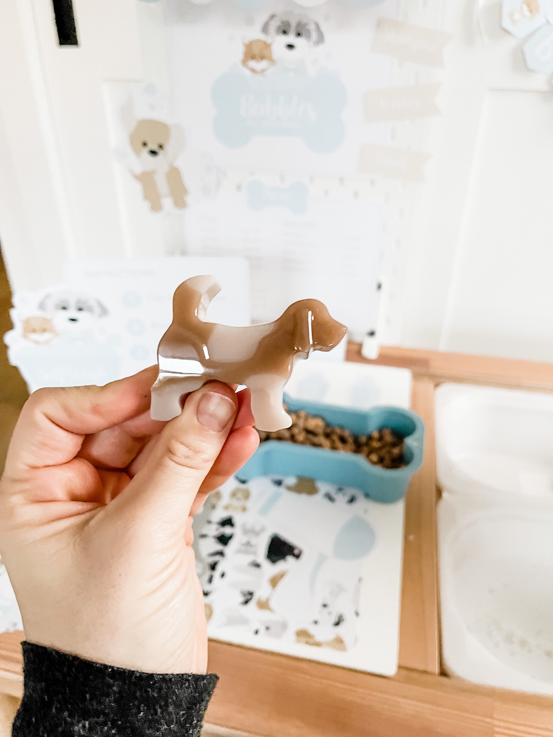 Goodnight Fox - Dog Wash Sensory Play Kits