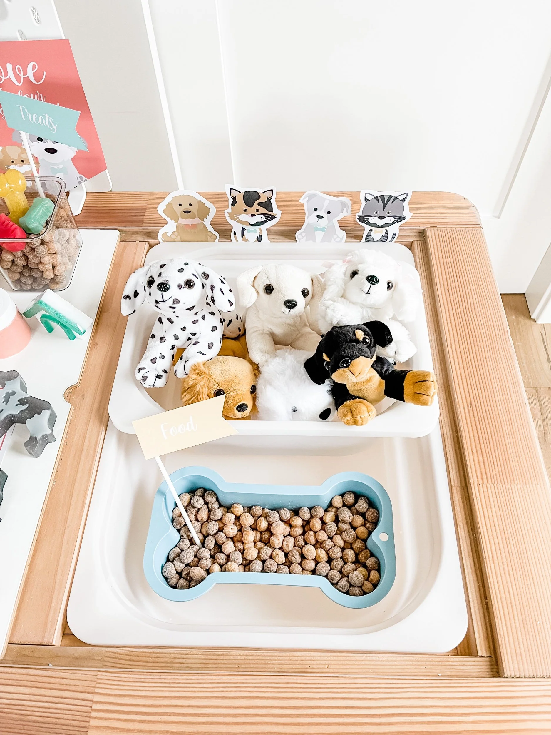 Goodnight Fox - Pet Adoption download dramatic play kit