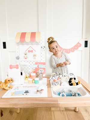 Goodnight Fox - Pet Adoption download dramatic play kit