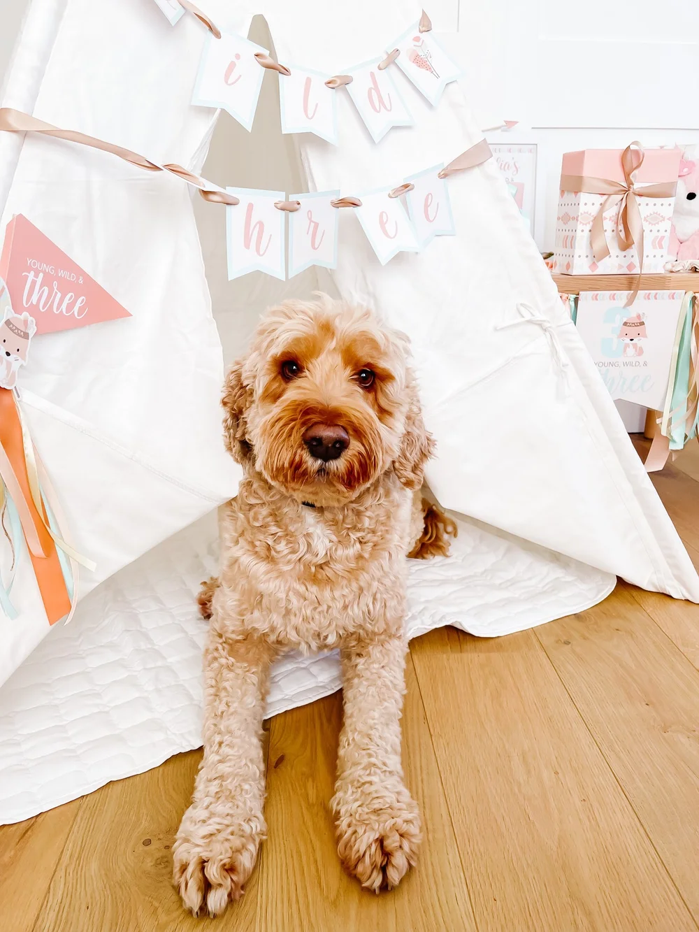 Goodnight Fox - Boho fox chic Young wild and three birthday party theMe