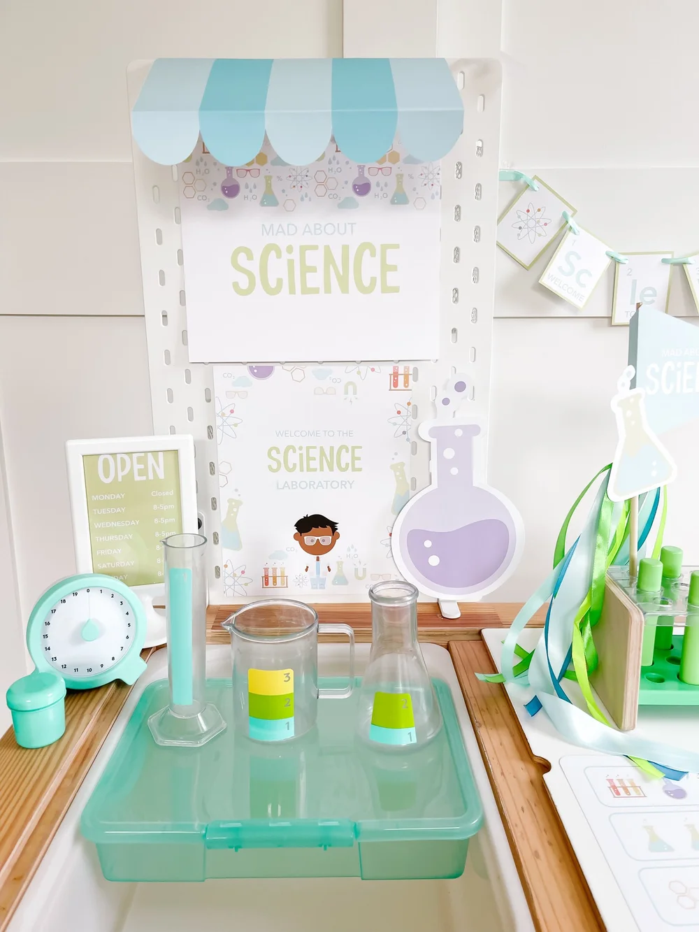 Goodnight Fox - Science Lab Printable Dramatic Play and Sensory Play ...