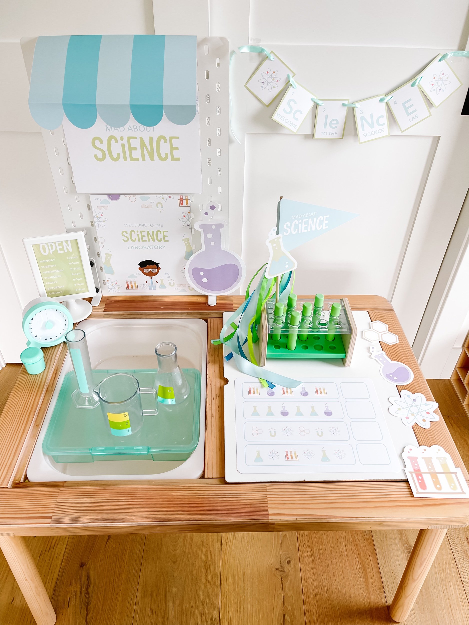 Goodnight Fox - Science Lab Printable Dramatic Play and Sensory Play ...