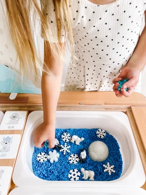 Goodnight Fox - ️ South Pole Sensory Bin for Kids