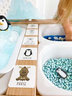 Goodnight Fox - Arctic Animal Winter Sensory Bin