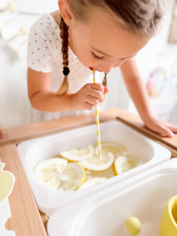 Goodnight Fox - DIY Lemonade Stand For Kids