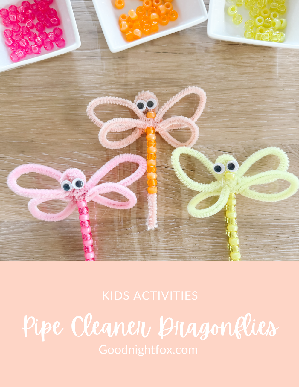 Goodnight Fox - DIY Pipe Cleaner Dragonfly Craft for Kids: A Fun and ...