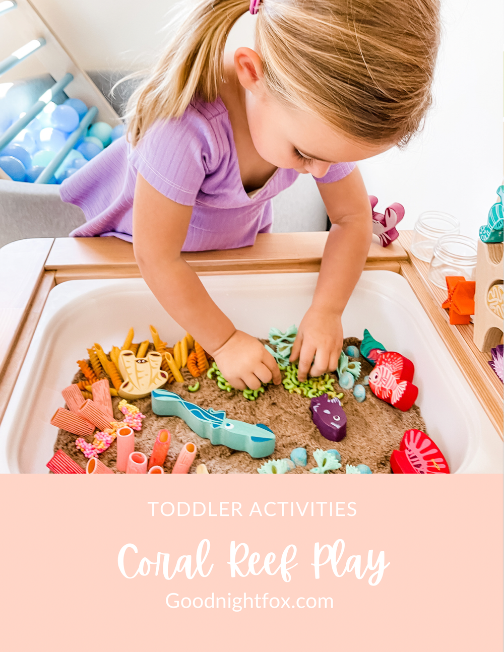Goodnight Fox - Coral reef ocean ANIMALS sensory play
