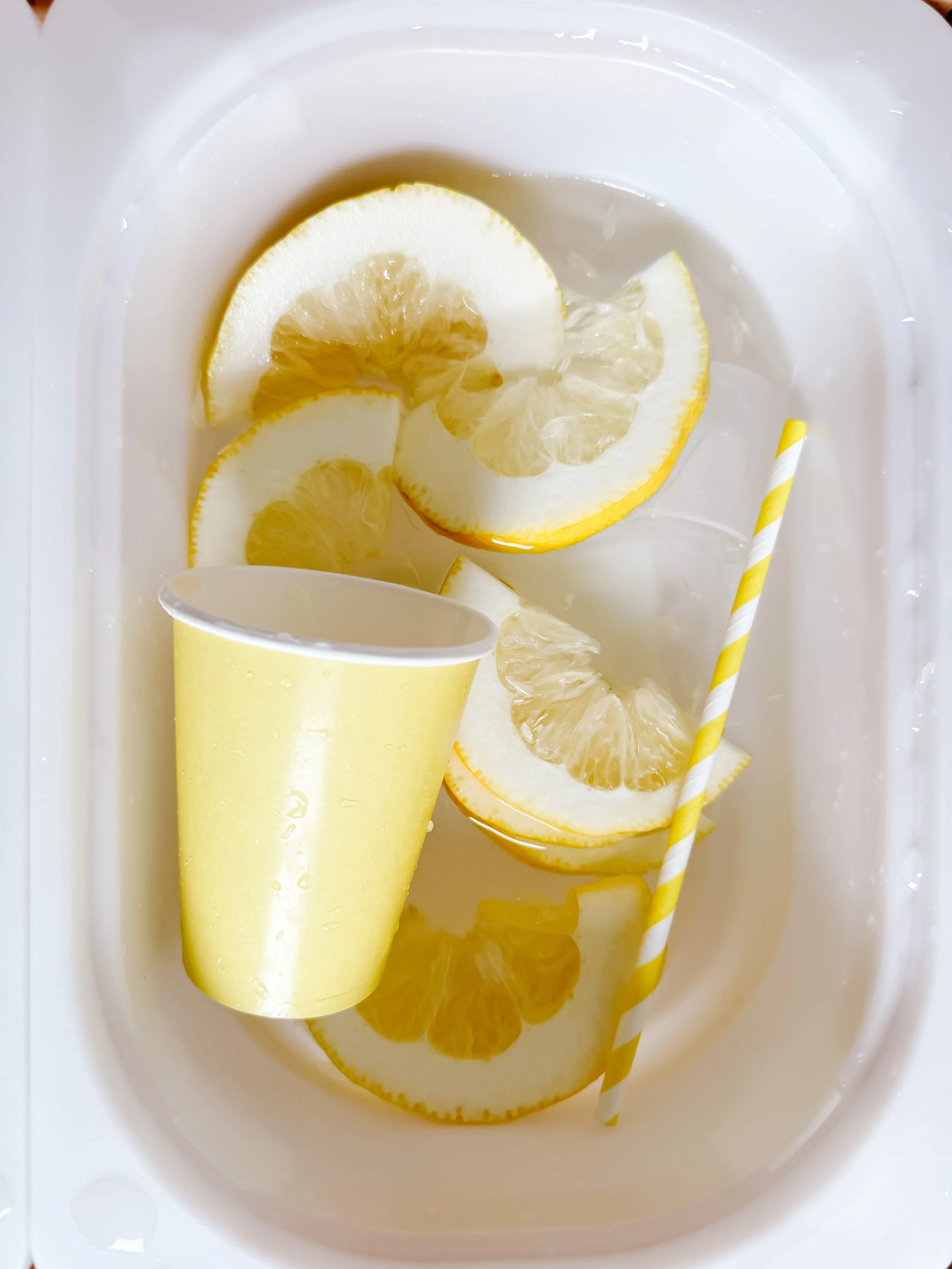 Goodnight Fox - DIY Lemonade Stand For Kids