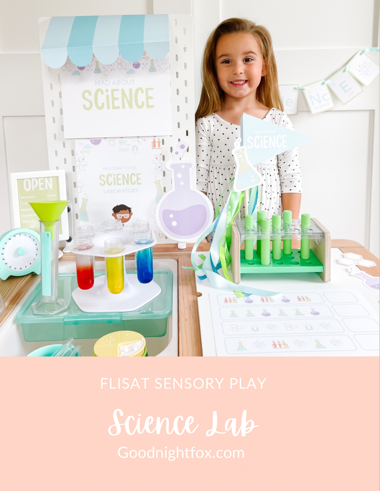 Goodnight Fox - Science Lab Printable Dramatic Play and Sensory Play ...