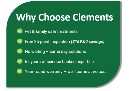 Florida Pest Control & Lawn Care | 65+ Years | Clements Pest Control