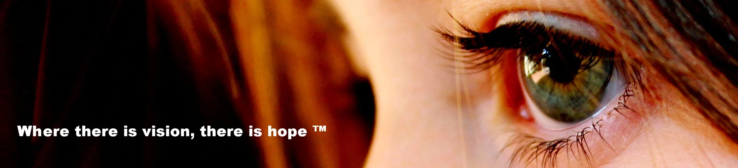 MID Labs - Vitreoretinal Ophthalmic Medical Devices