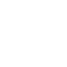 About Wiseguy Pizza — Wiseguy Pizza