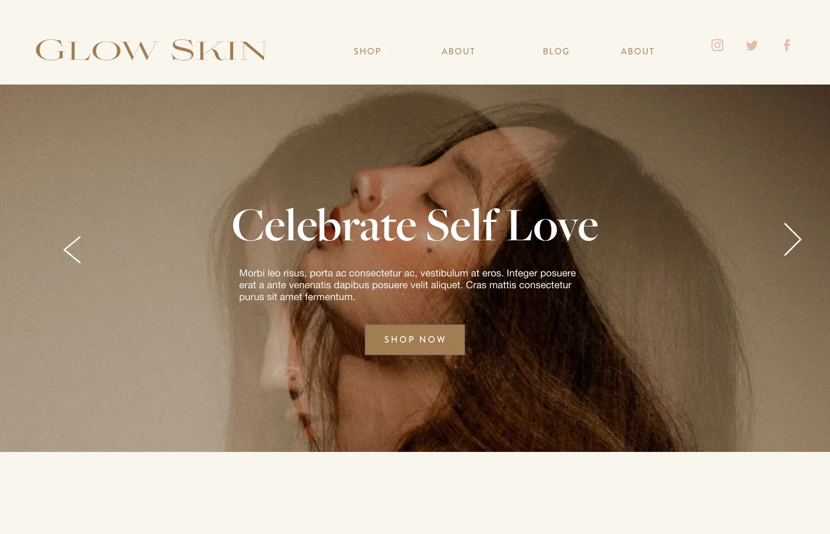 Stylish Sections — Squarestylist
