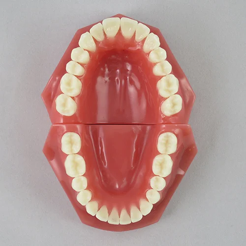 What Does an Ideal Bite Look Like? | Jorgensen Orthodontics ...