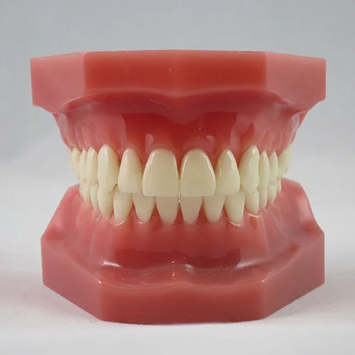 What Does an Ideal Bite Look Like? | Jorgensen Orthodontics ...