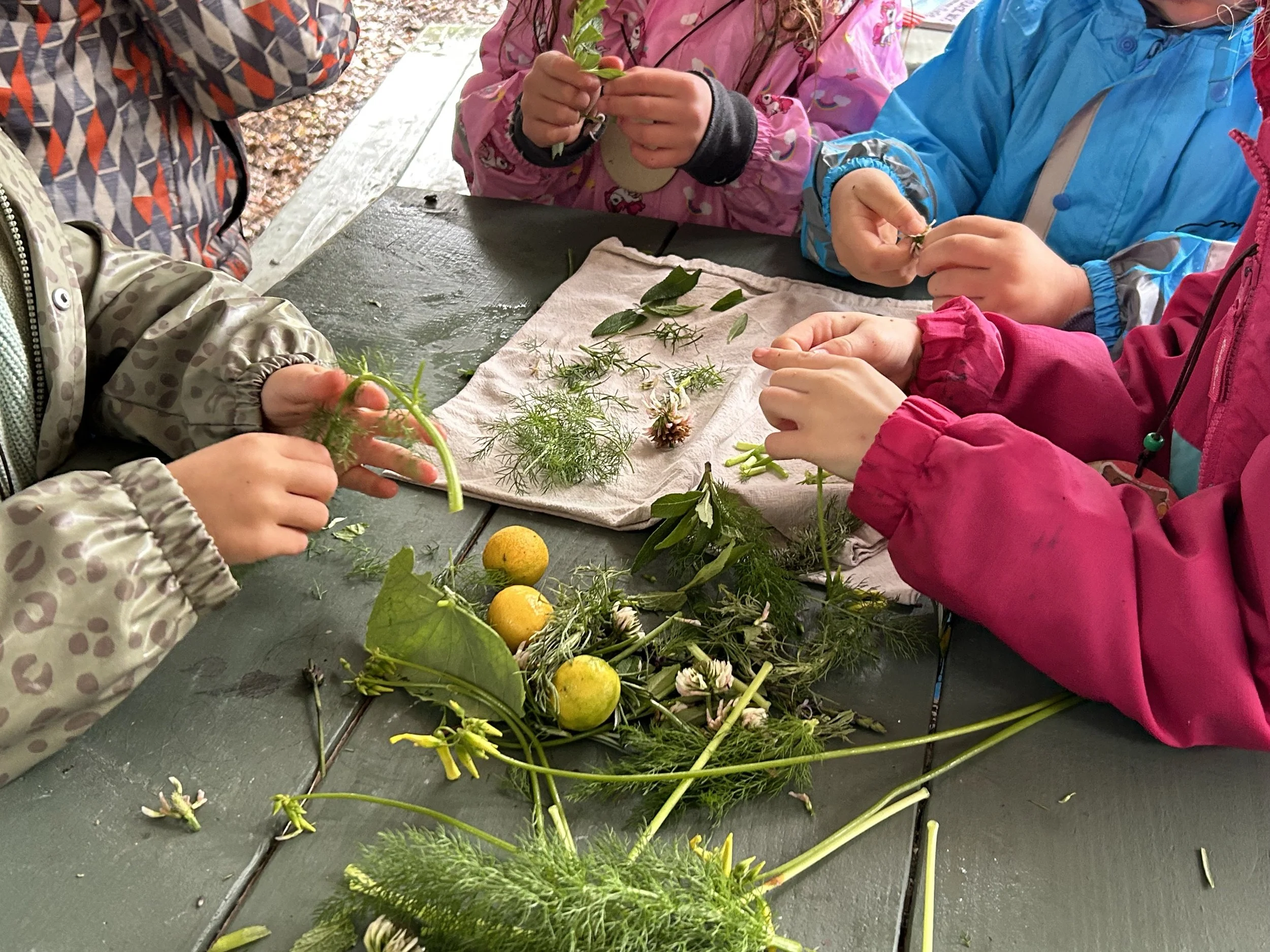 Visit The Farm — Sand n' Straw Community Farm