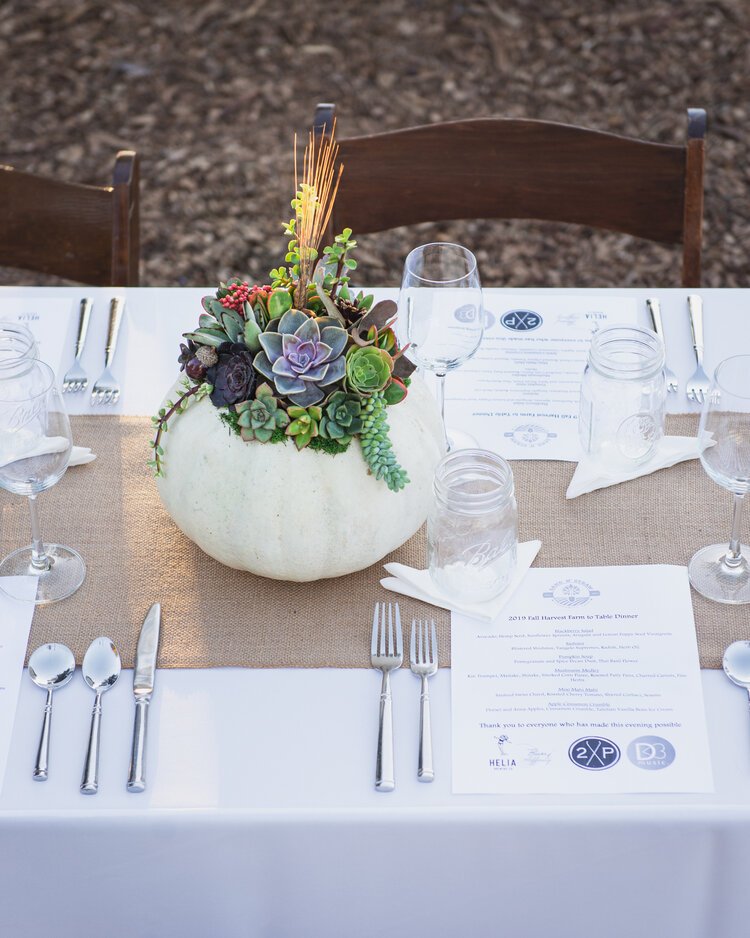 Fall Harvest Farm to Table Experience — Sand n' Straw Community Farm