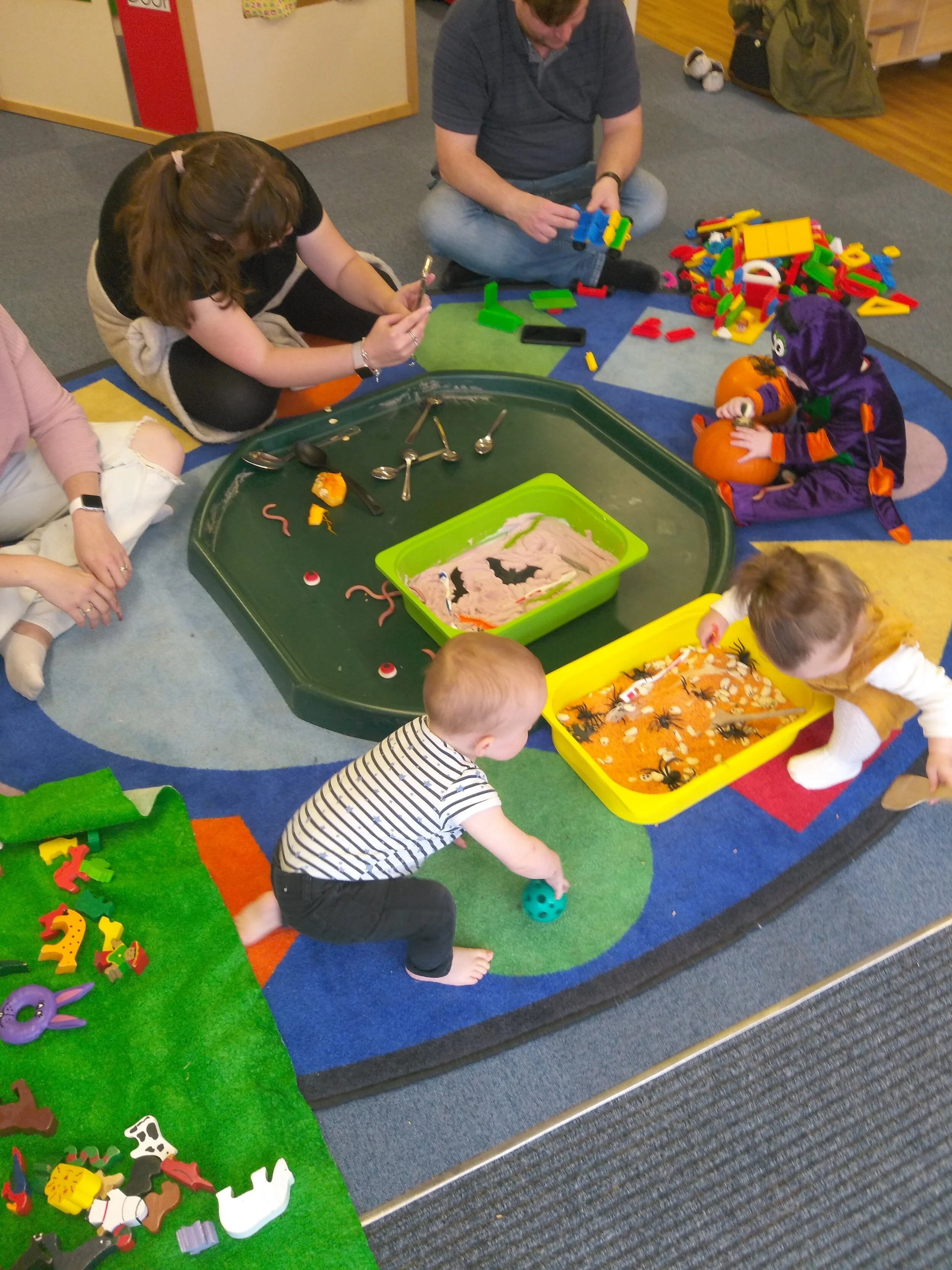 The Befriending Scheme