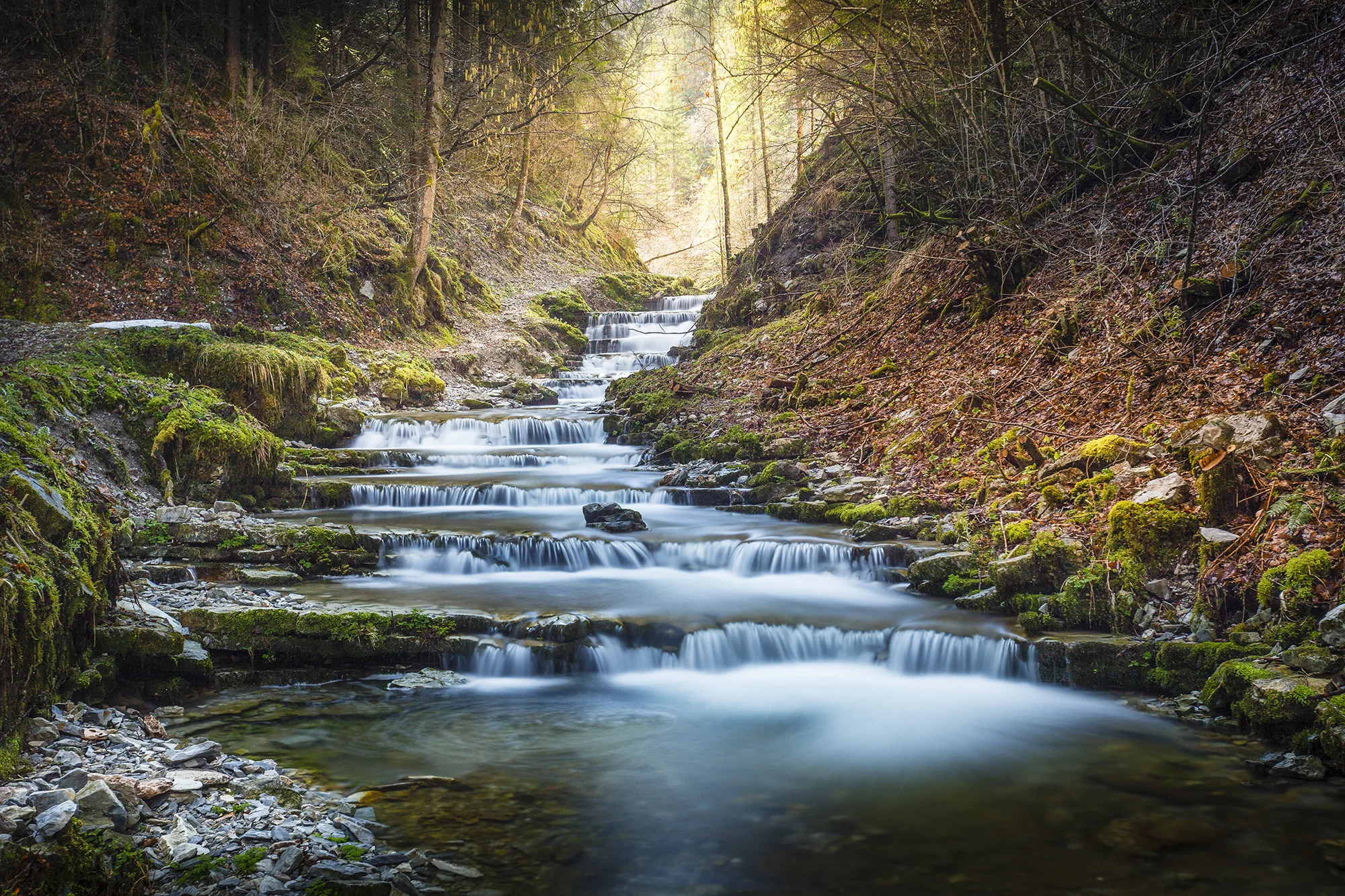 Mountain Streams