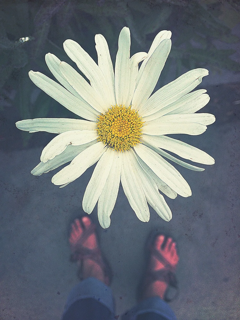 Gabrielle Pietrangelo - Gabrielle Pietrangelo Yoga Collection - welcome Yoga Collection - Music ...