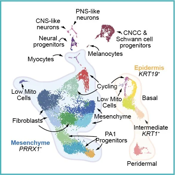 Resources — Koehler Lab