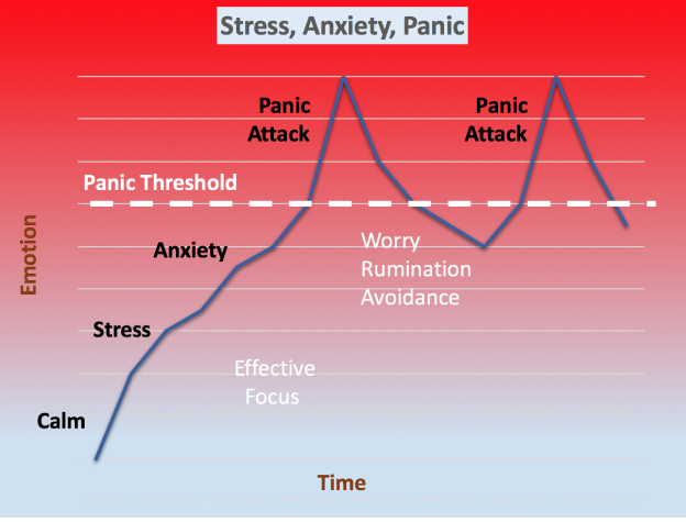 How Stress, & Anxiety Cause Panic — Cognitive Health Group, PLLC