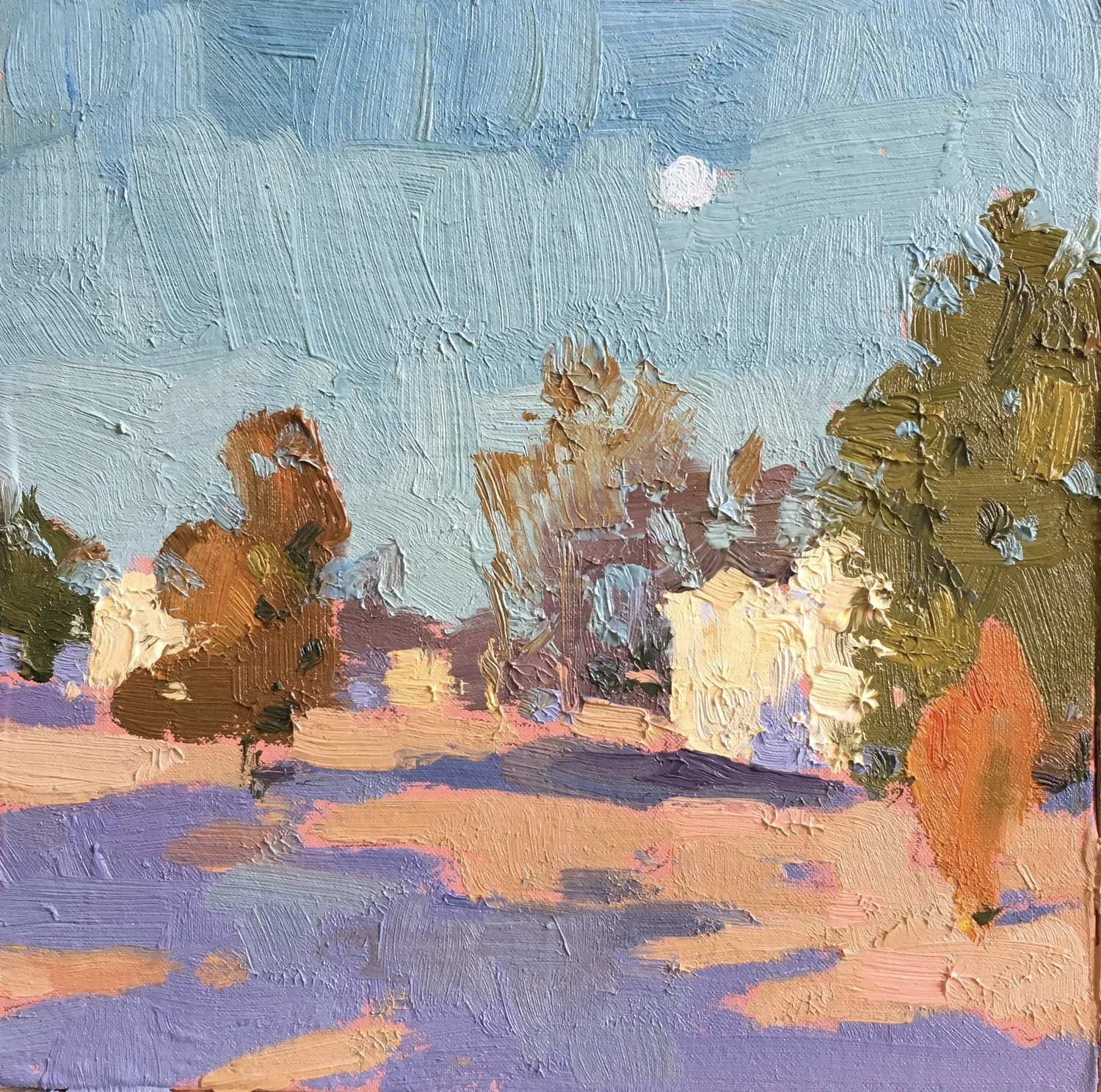 STEPHEN HAYNES