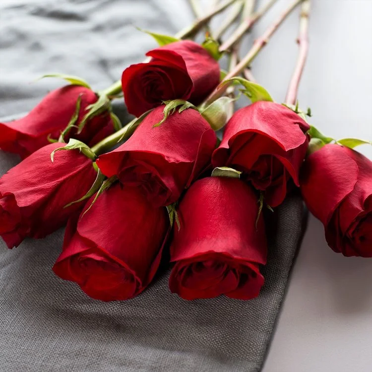 BOÎTE À FLEURS MTL