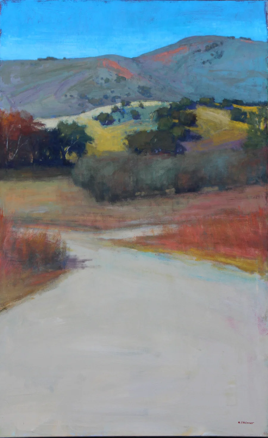 California — David Skinner Art