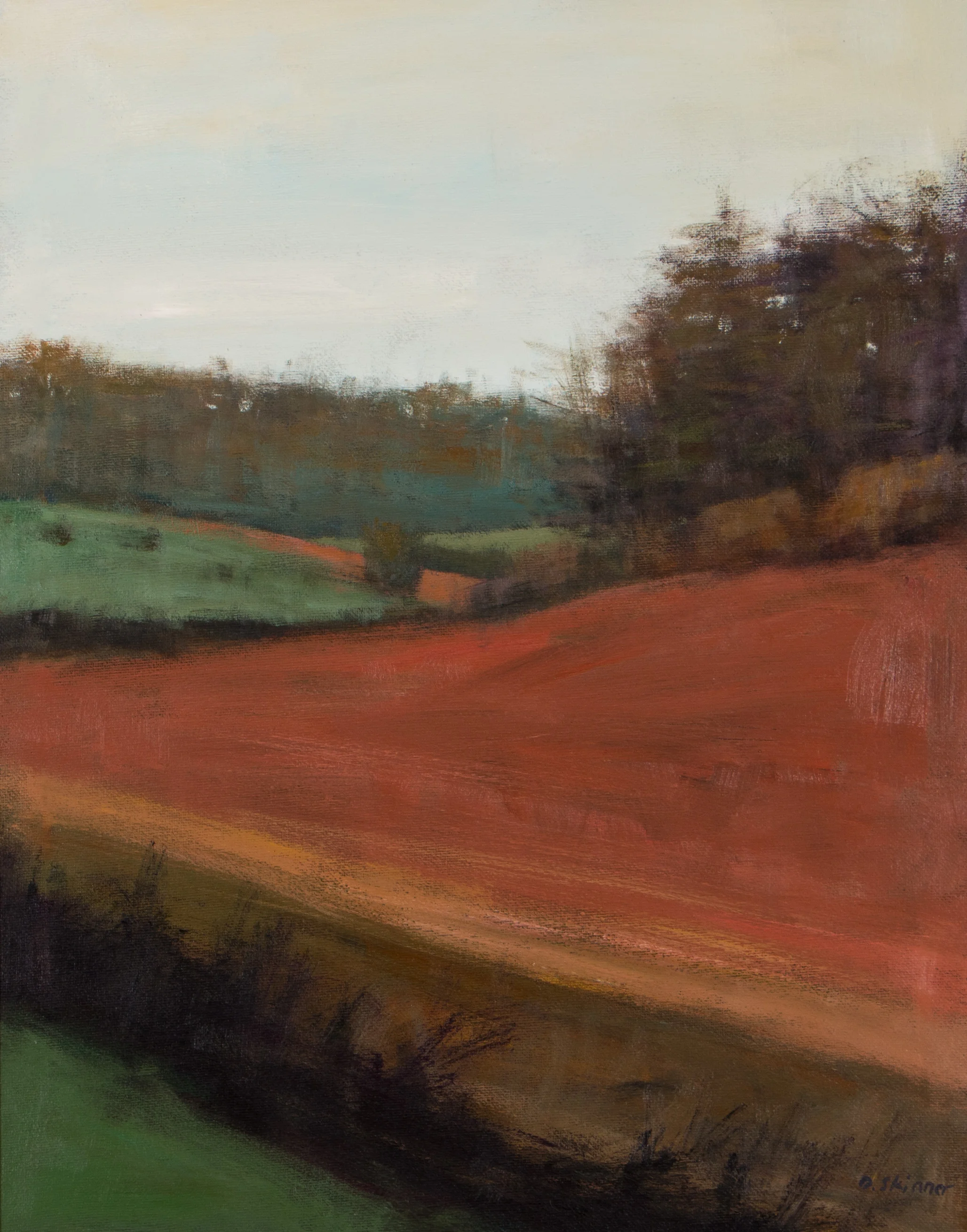 Virginia — David Skinner Art