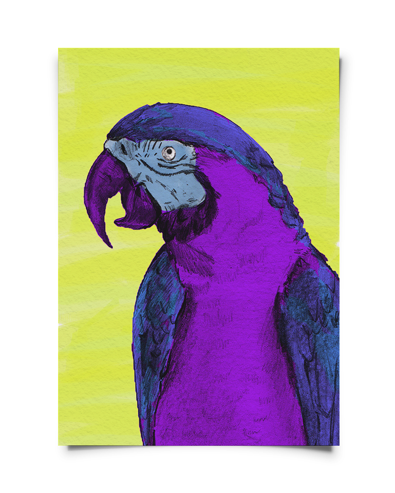 Studio Shop — Evie Kemp