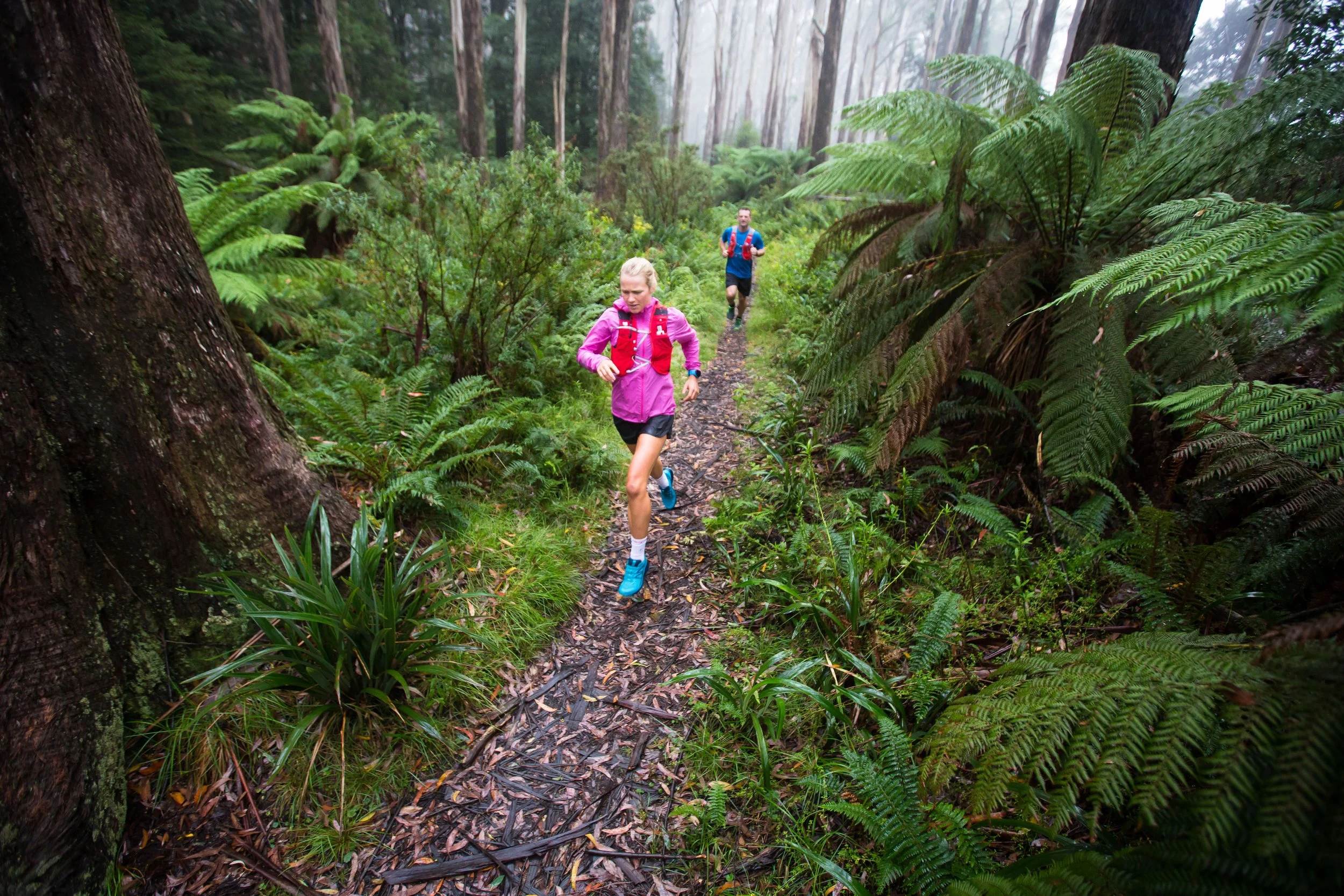 GOLDEN TRAIL SERIES — Warburton Trail Fest