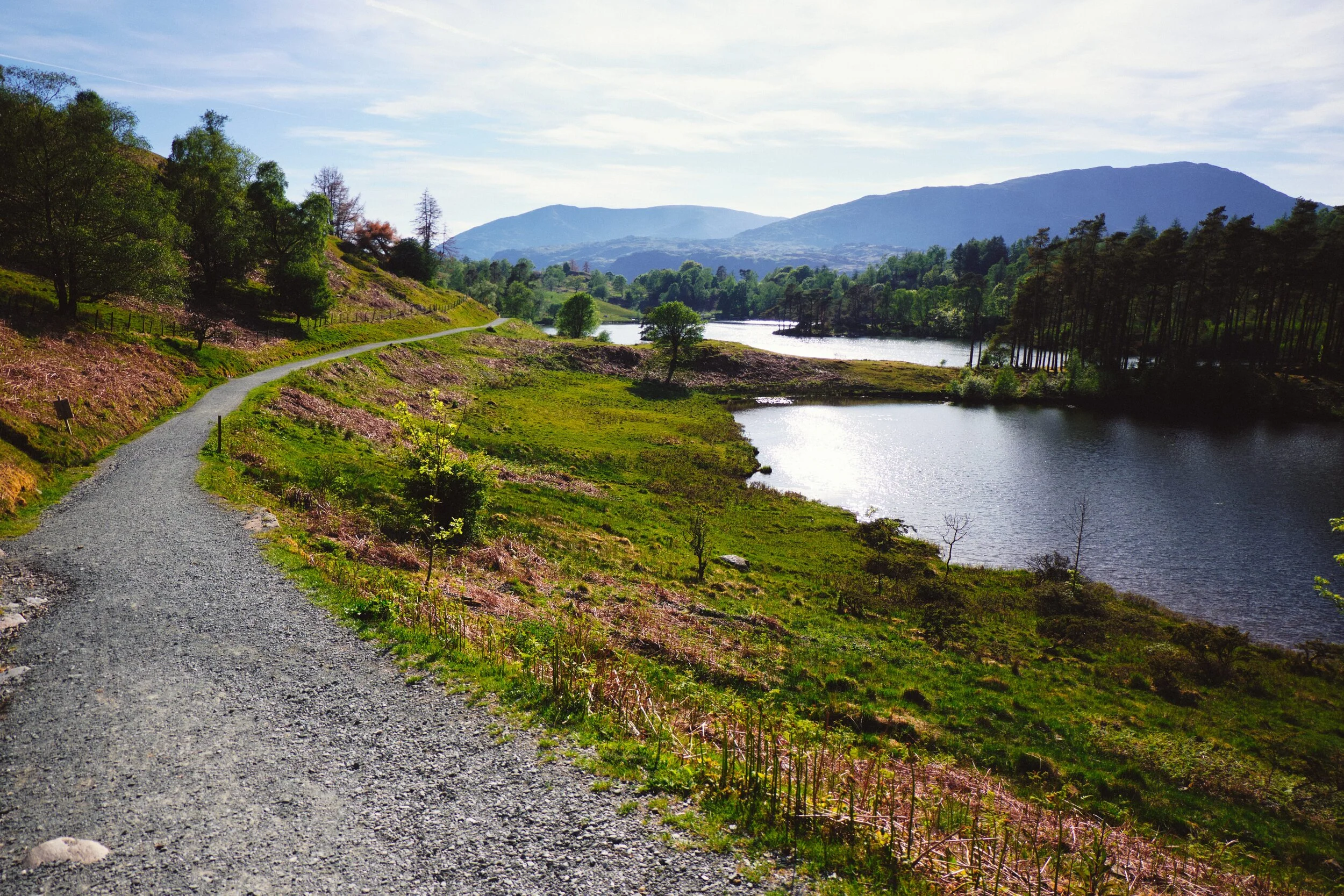 Tarn Hows, Lake District, Spring — Ian Cylkowski Photography. Photography