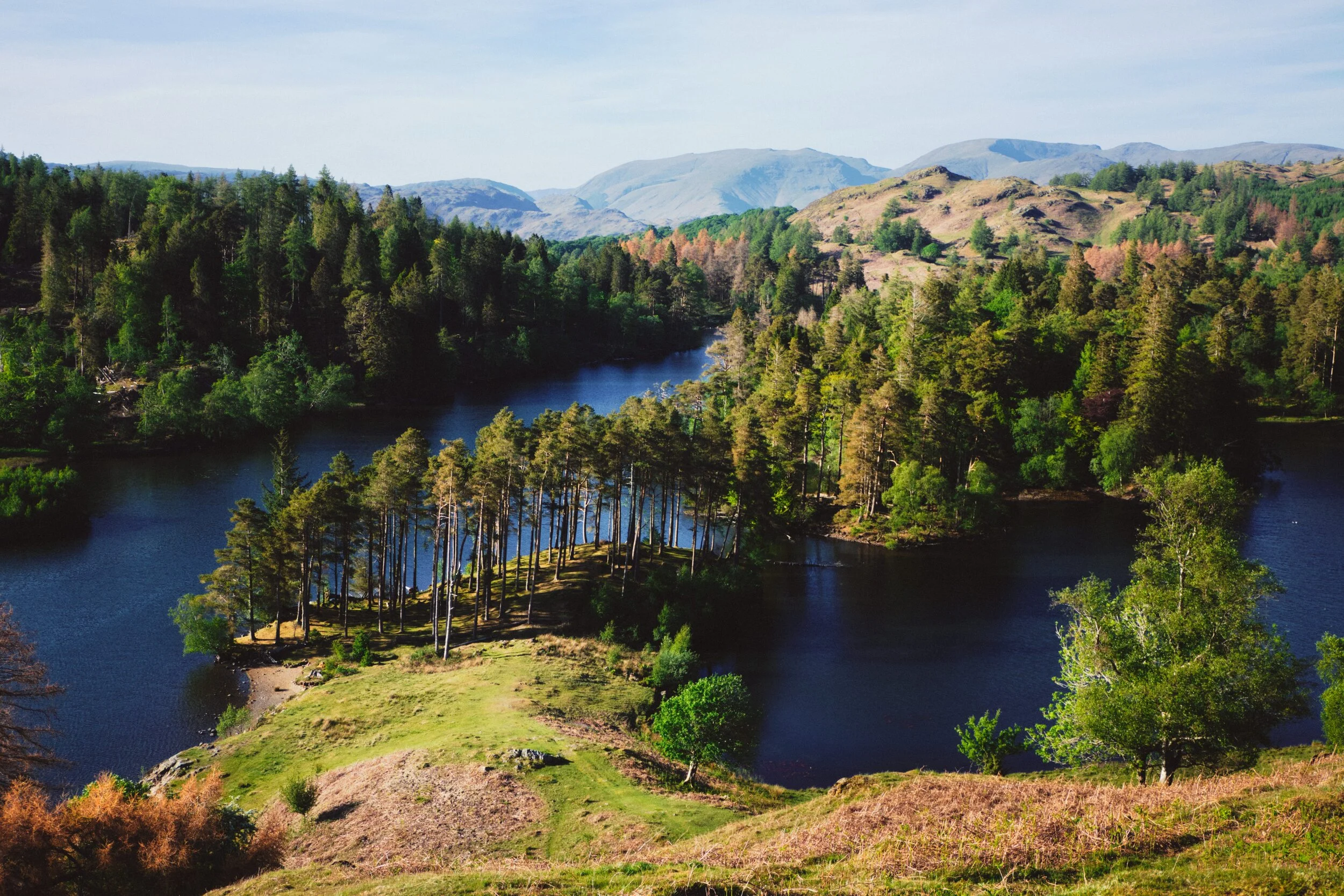 Tarn Hows, Lake District, Spring — Ian Cylkowski Photography. Photography