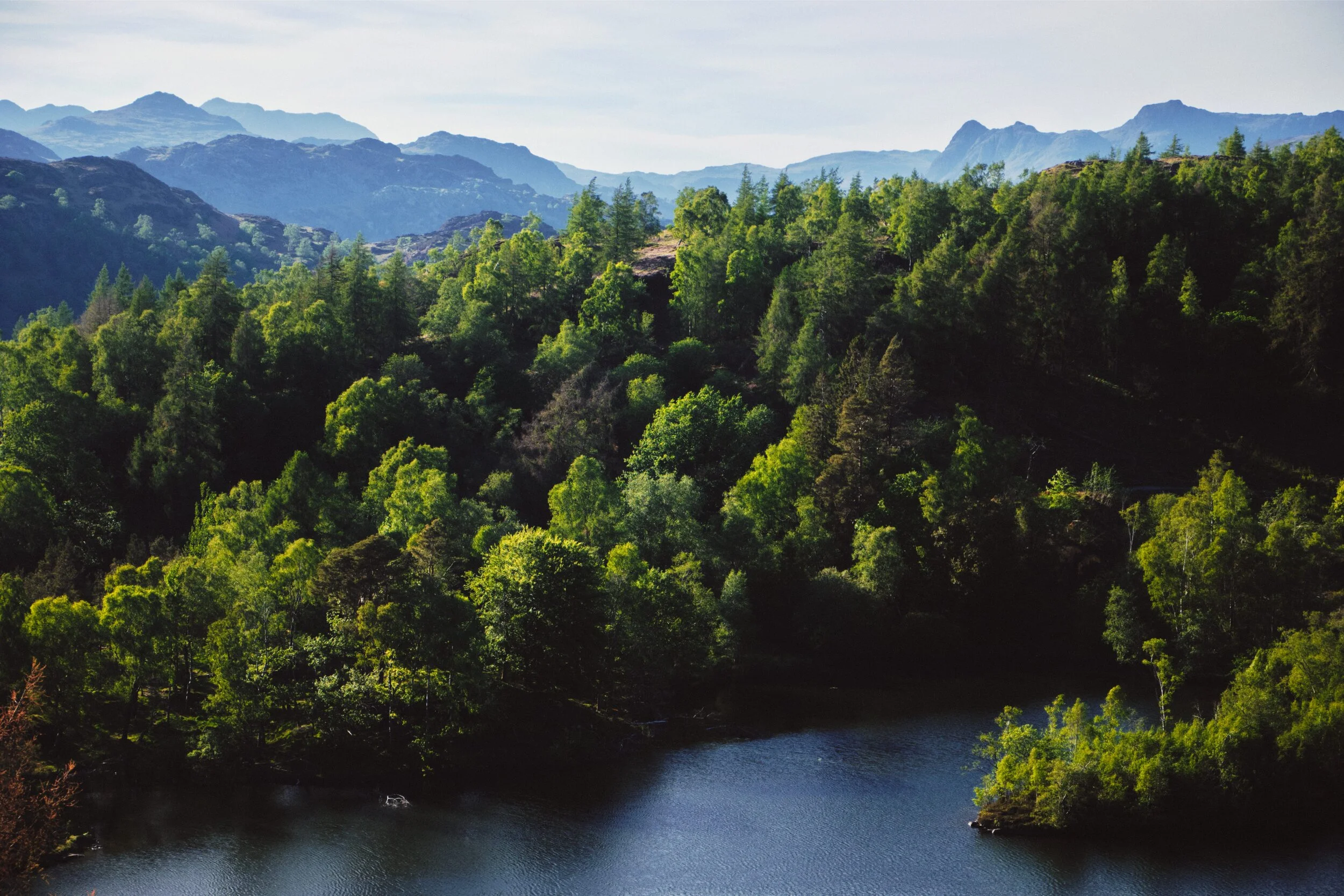 Tarn Hows, Lake District, Spring — Ian Cylkowski Photography. Photography