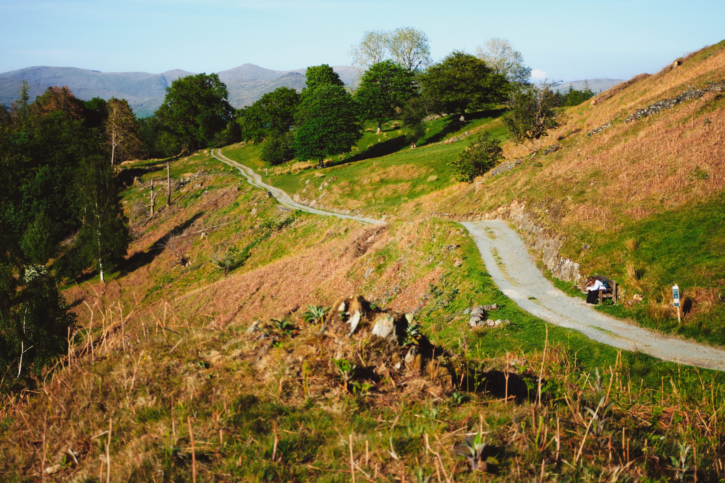 Tarn Hows, Lake District, Spring — Ian Cylkowski Photography. Photography