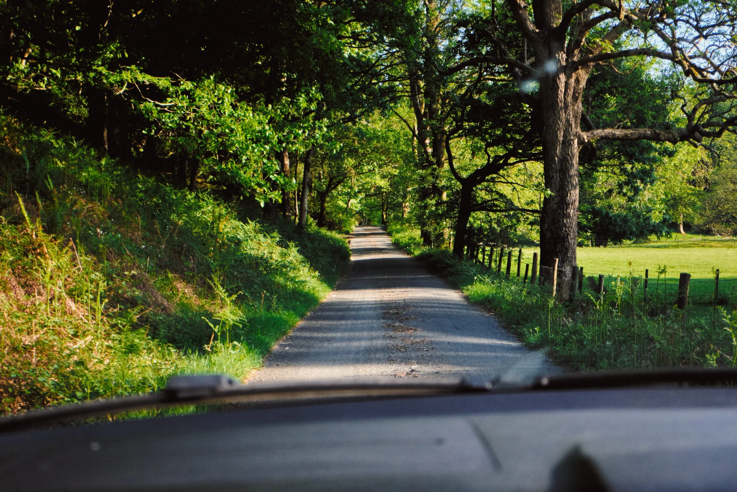 Tarn Hows, Lake District, Spring — Ian Cylkowski Photography. Photography