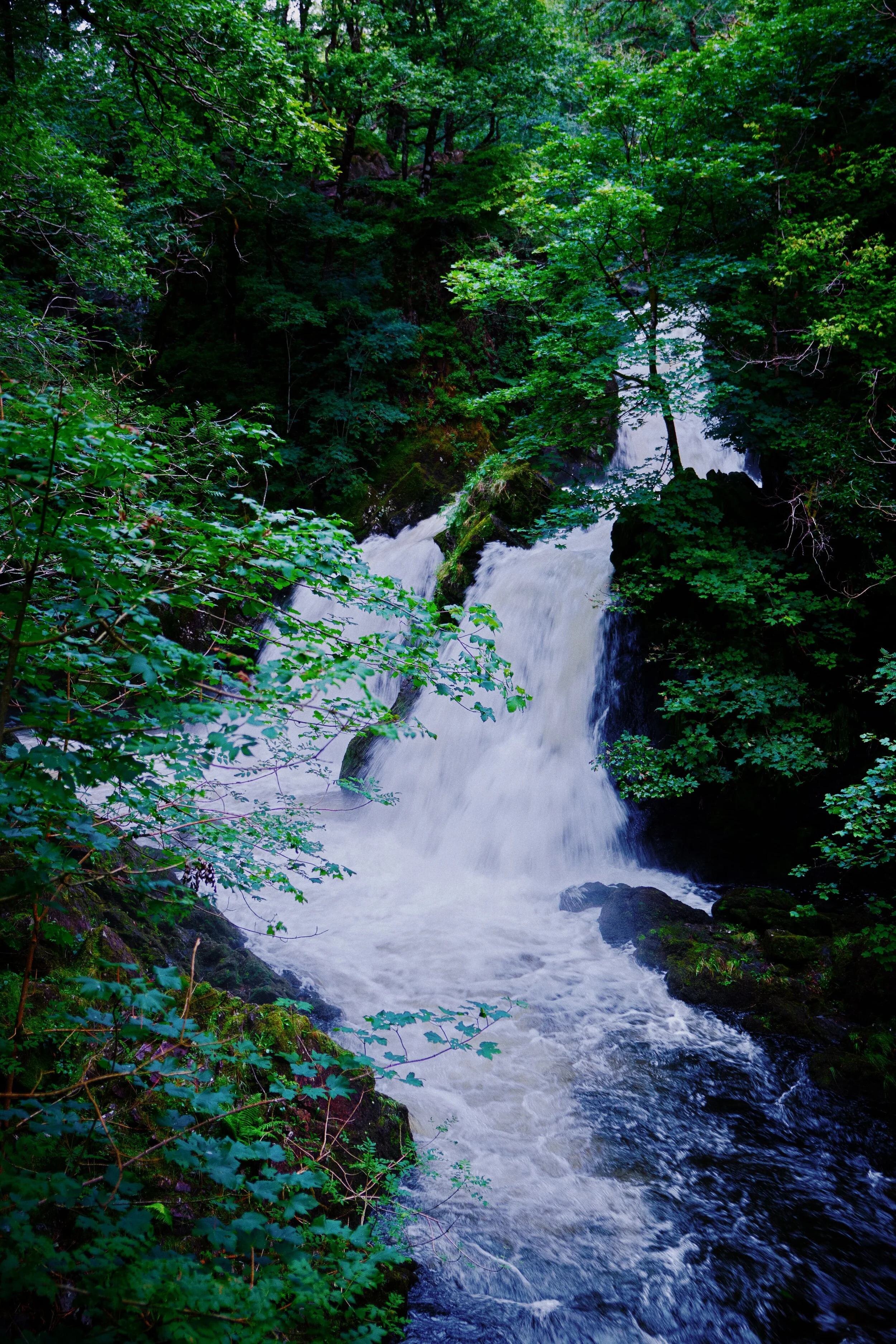 Colwith Force, Lake District, Summer — Ian Cylkowski Photography ...