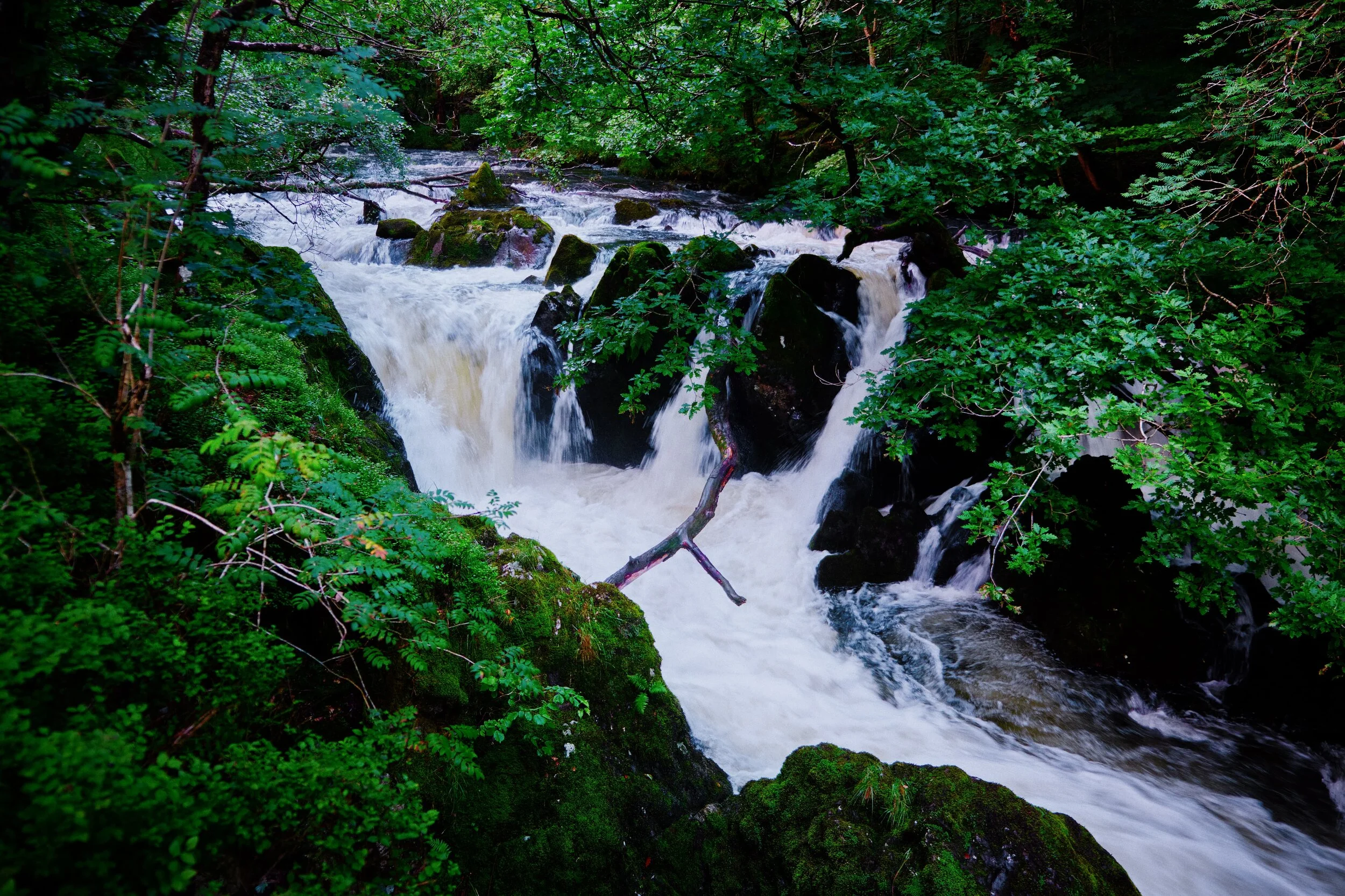 Colwith Force, Lake District, Summer — Ian Cylkowski Photography ...