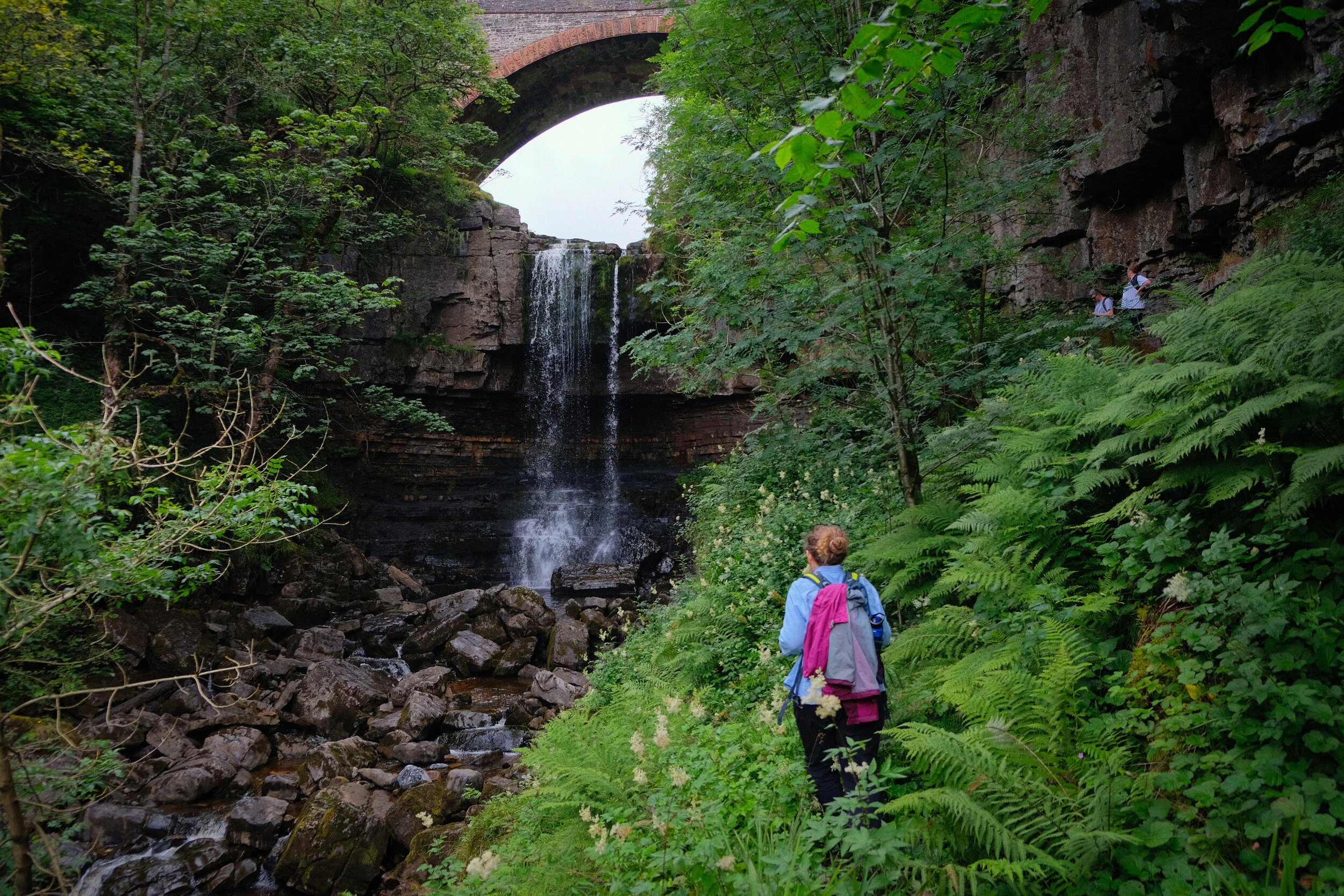 Ashgill Force, North Pennines, Summer — Ian Cylkowski Photography ...