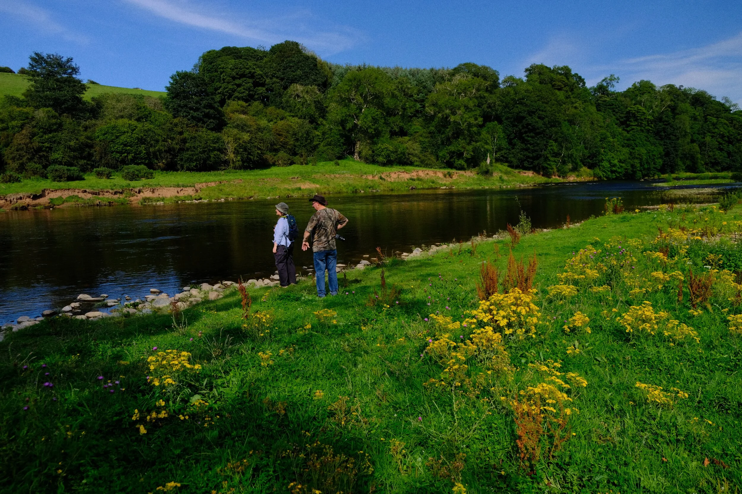 Wetheral, Cumbria, Summer — Ian Cylkowski Photography. Photography