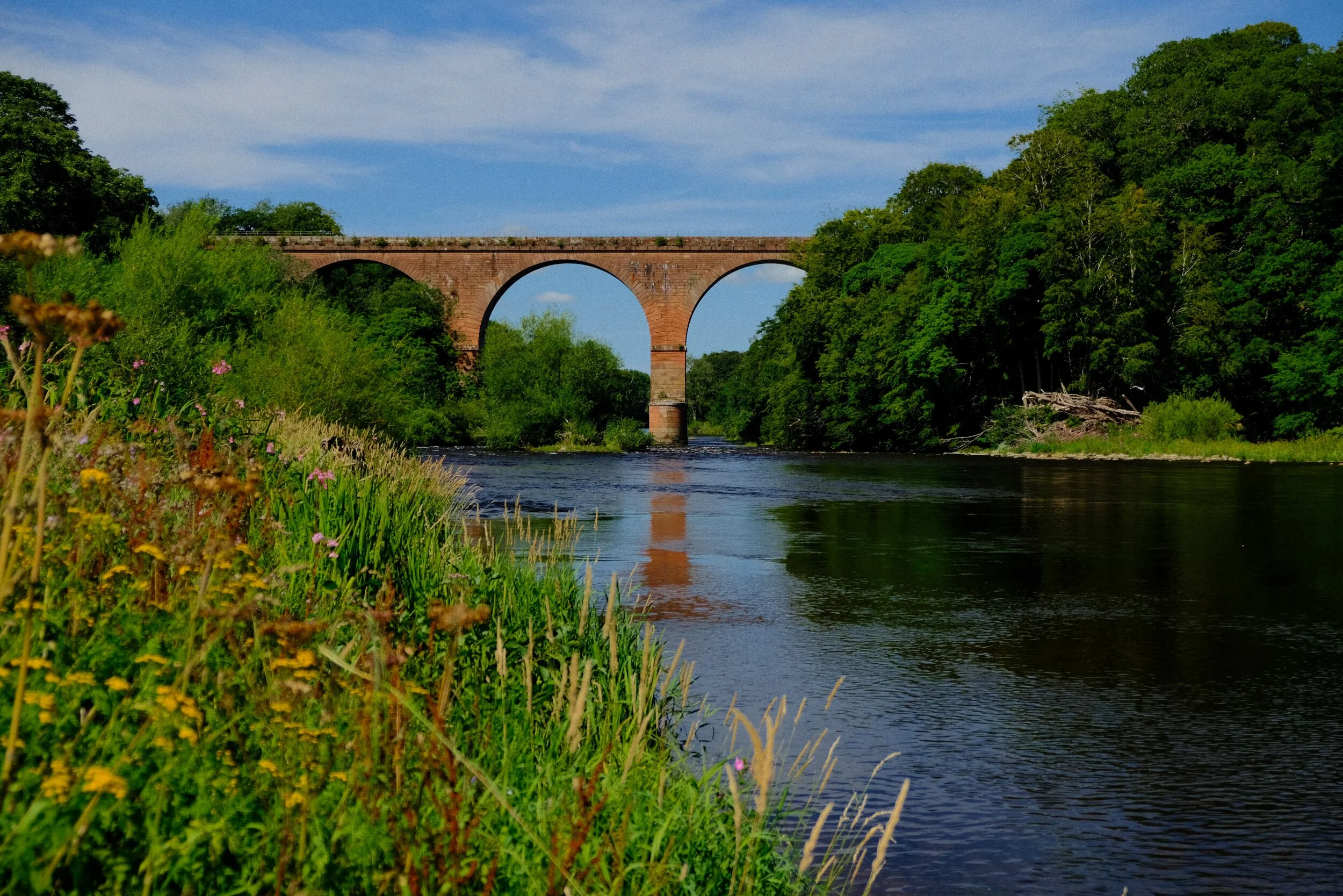 Wetheral, Cumbria, Summer — Ian Cylkowski Photography. Photography
