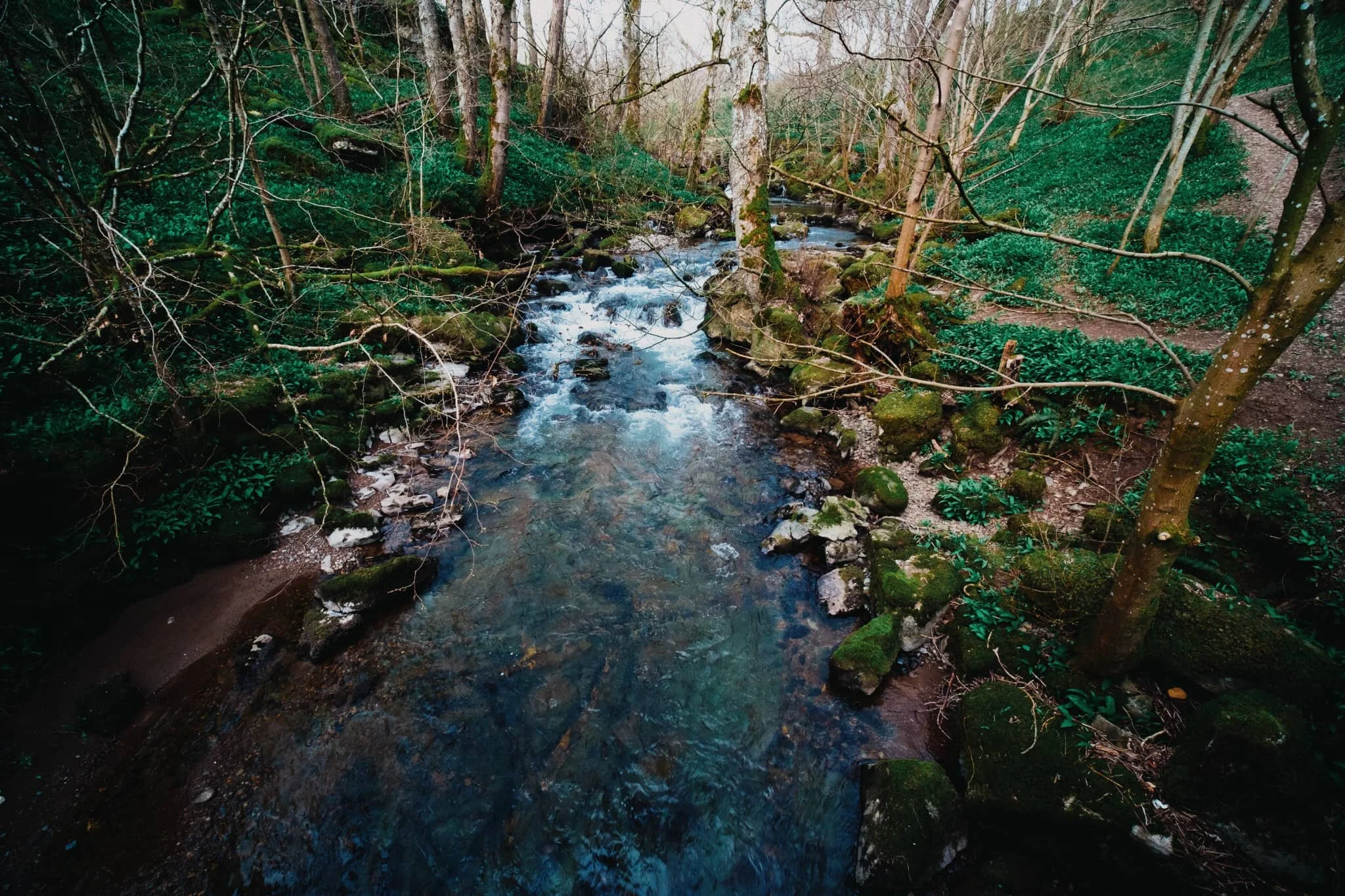 Caldbeck, Lake District, Spring — Ian Cylkowski Photography. Photography