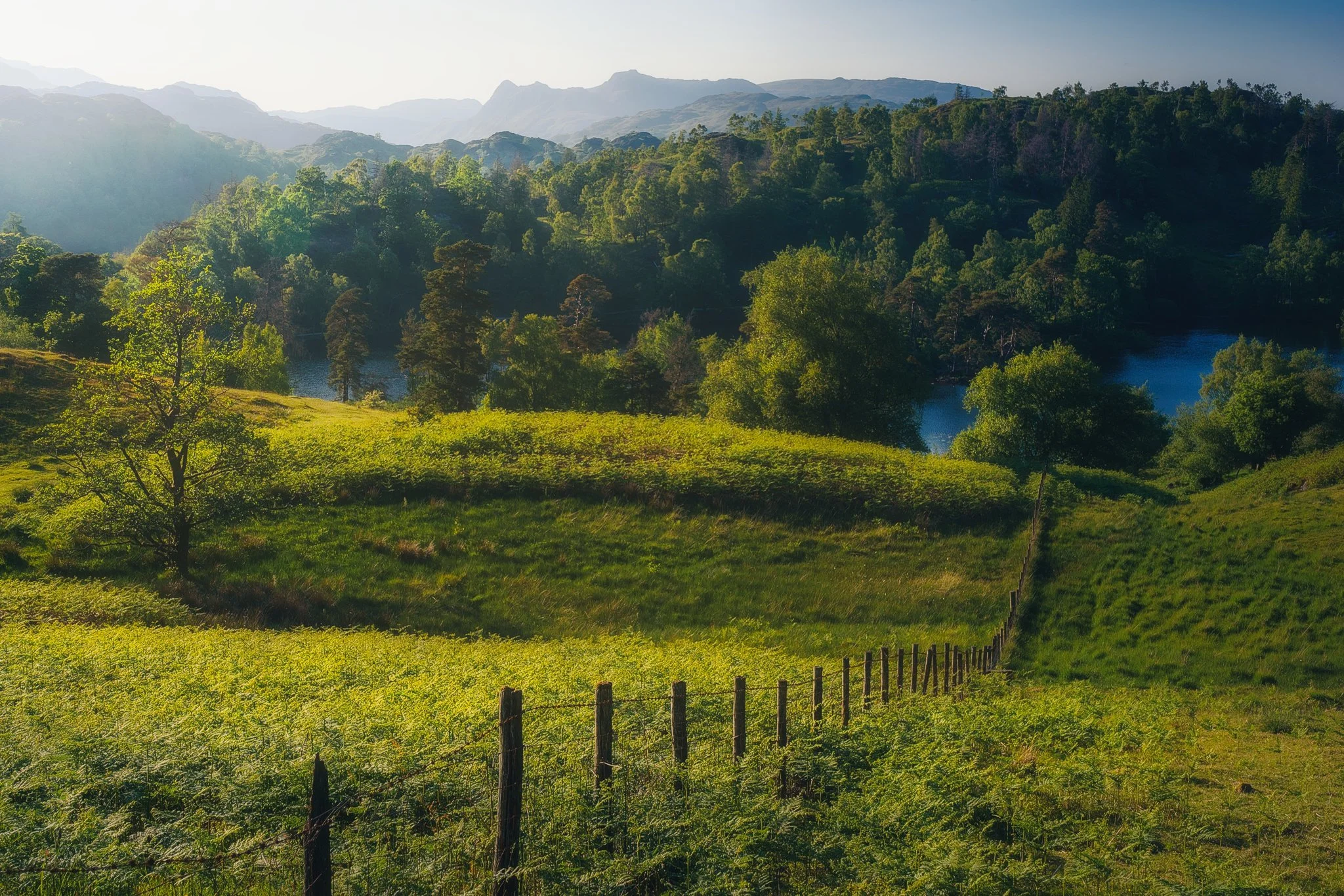 Tarn Hows, Lake District, Summer — Ian Cylkowski Photography. Photography
